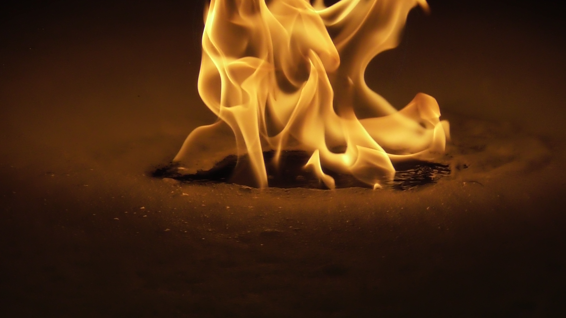 Foam system - TRASER